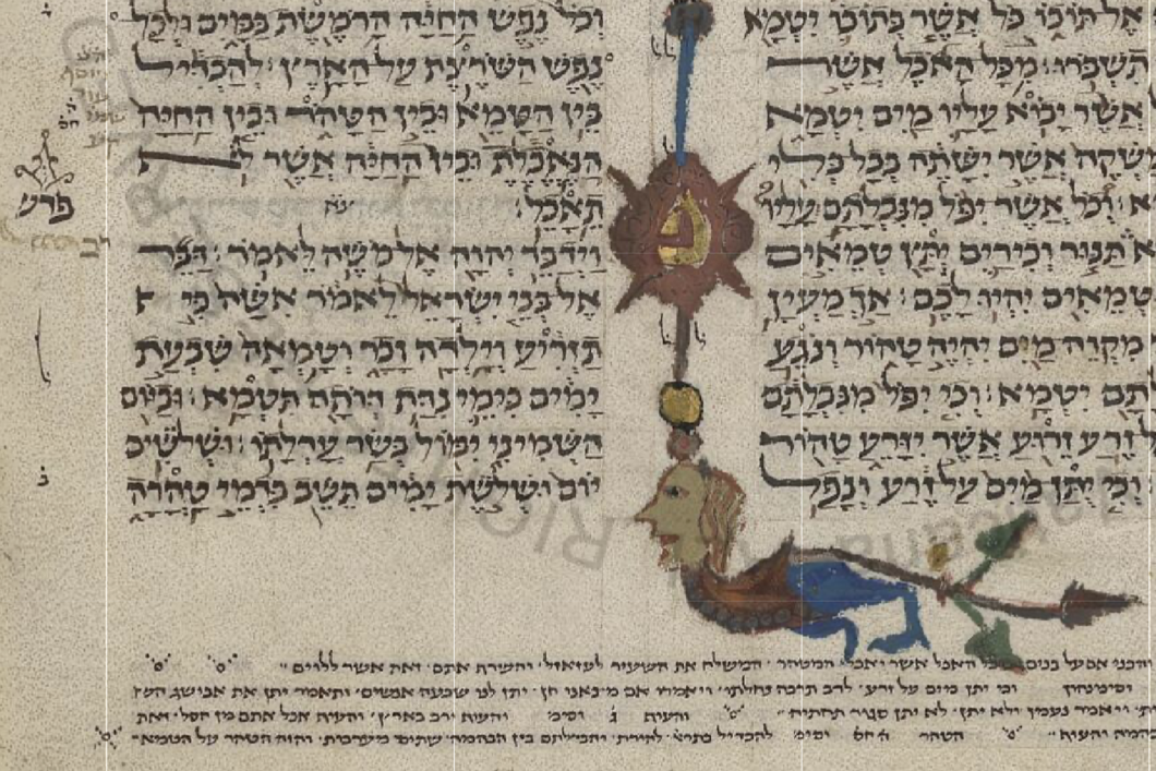Not only in Hebrew - How the Jewish Middle Ages read the Bible - HfJS